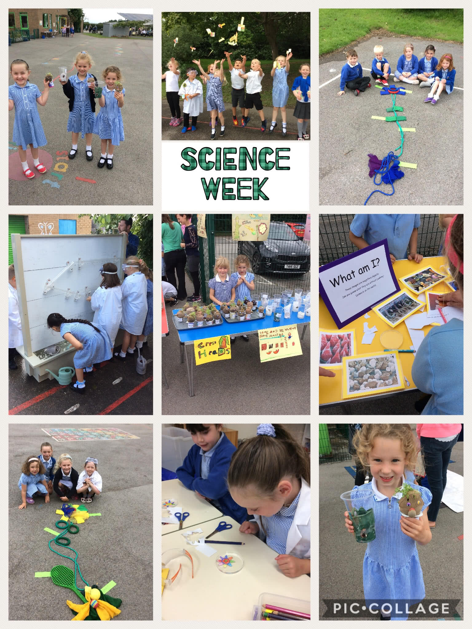 Science Week Photos! | Bradway Primary School